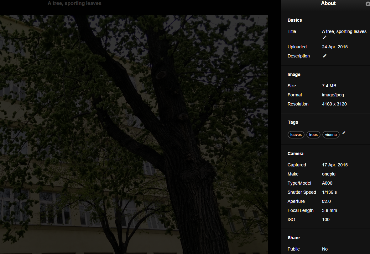 Lychee image management (and sharing) - Self-Hosted Web